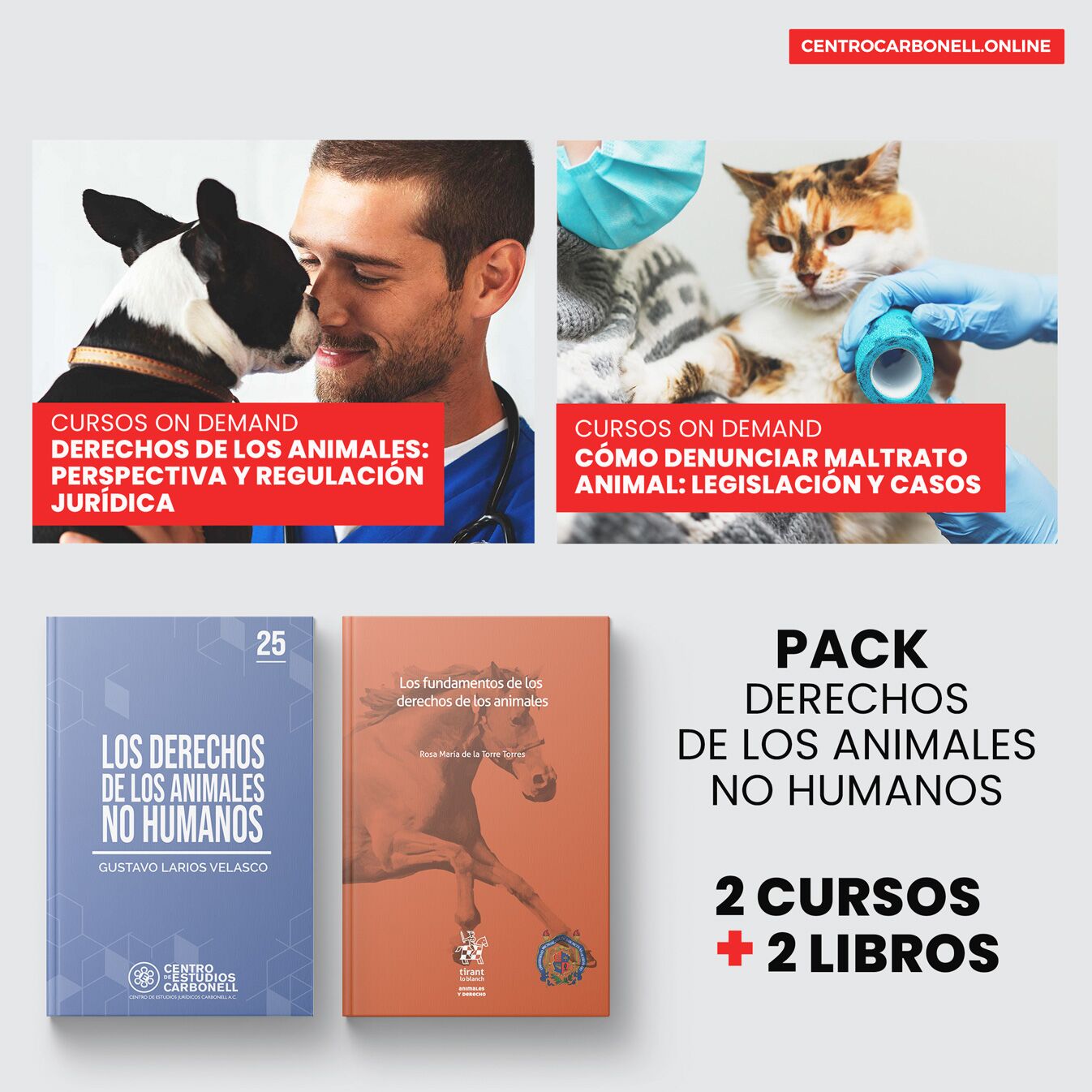 La importancia del reconocimiento de los derechos de los animales