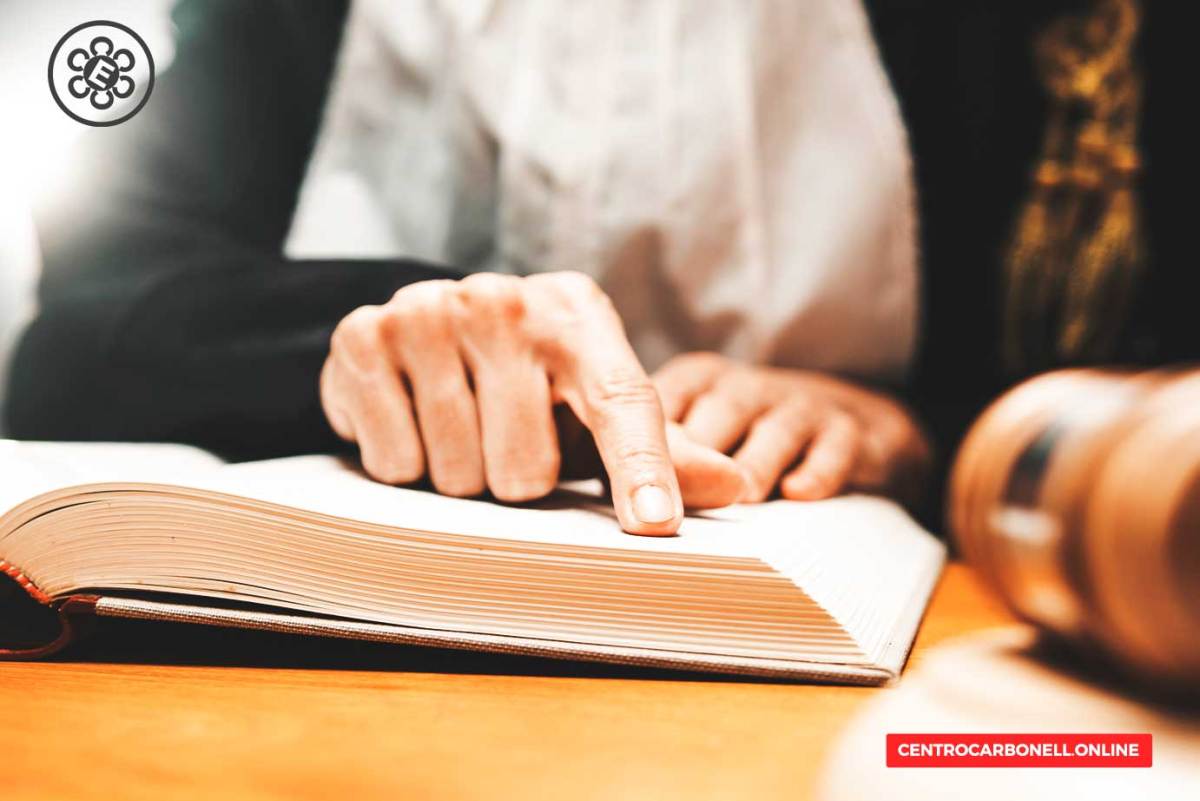 10 principios elementales del debido proceso legal