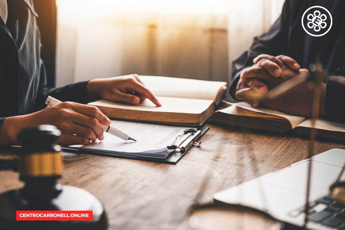 10 principios elementales del debido proceso legal